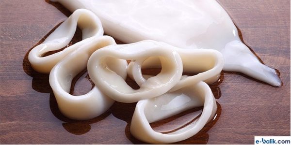 Kalamar(Kg Fiyatıdır) – www.e-balik.com