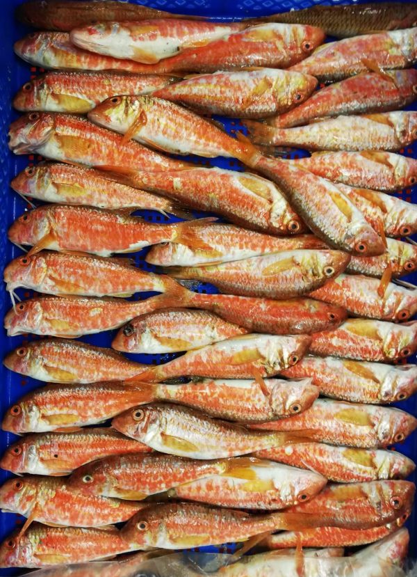 BARBUN (kg) – www.e-balik.com