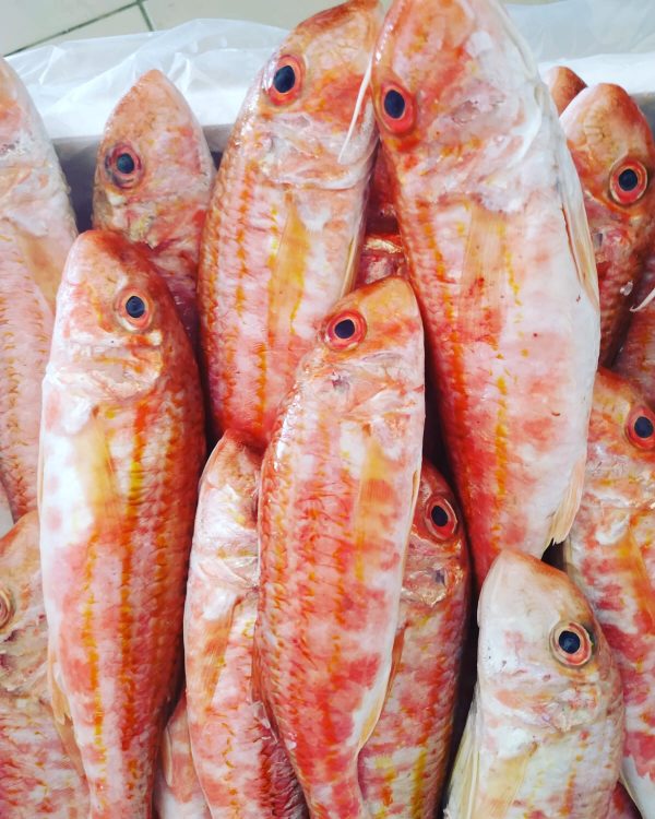 BARBUN (kg) – www.e-balik.com