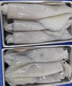 Baby Kalamar (1Kg) – www.e-balik.com